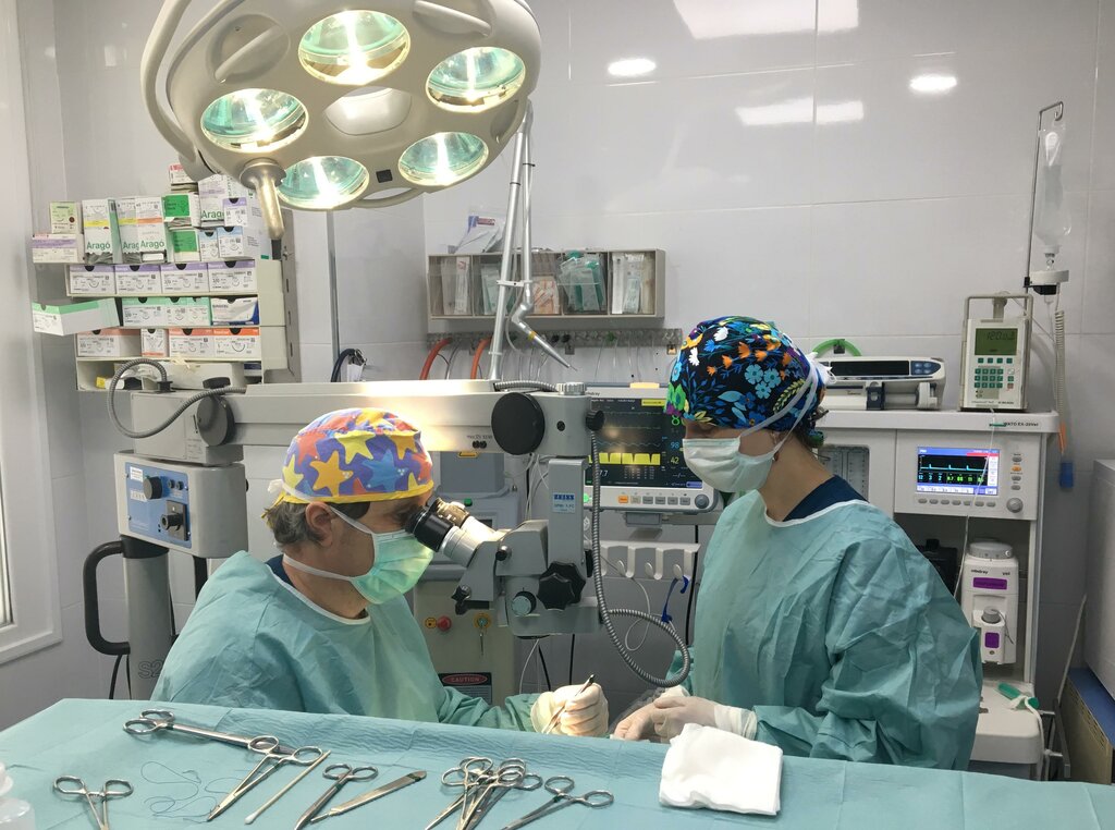 Veteriner materyalleri ve ekipmanları Clínica Veterinaria Romareda - Veterinarios Zaragoza, Zaragoza, foto