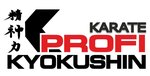 Profi kyokushin (Gorkogo Street No:233/1), spor kulüpleri  Blagoveshchensk'ten