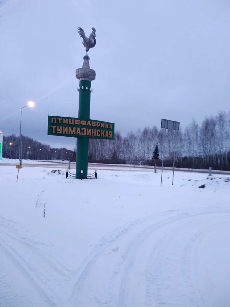 Kanatlı hayvan ürünleri ve yumurta Туймазинская Птицефабрика, Başkurdistan, foto