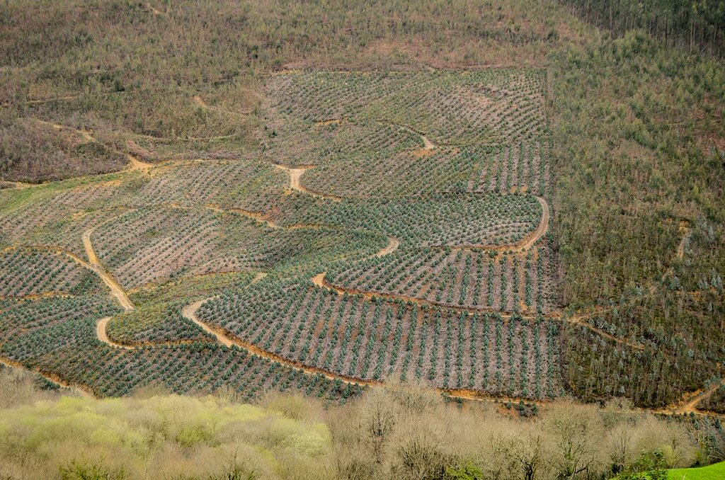 Arama çalışmaları Javier Izquierdo Rodríguez Topografía, Ingeniería Agrícola, Kantabria, foto