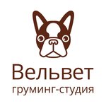 Velvet (Raketostroiteley Avenue No:9к3), evcil hayvan kuaförleri  Dolgoprudny'den