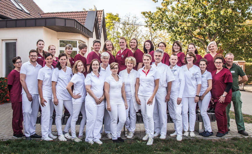 Alternatif tıp merkezleri Dres. med. vet. Manuela Schwede u. Holger Tierklinik Wittenberg Tierarzt Praxis, Wittenberg, foto