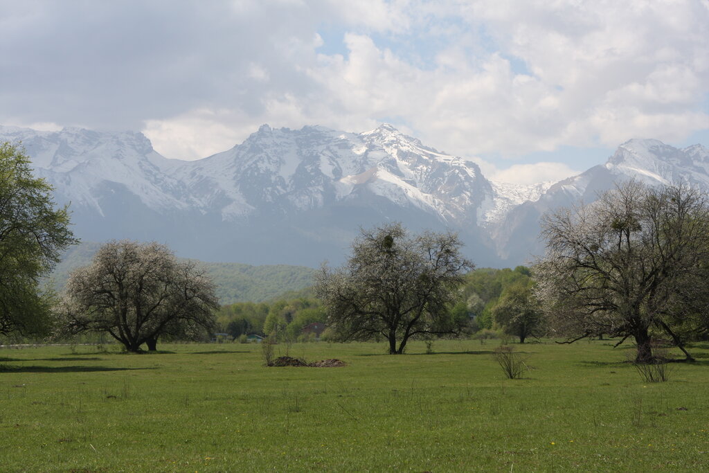 Tıbbi rehabilitasyon merkezleri ООО СКО Курорты Осетии, филиал пансионат Урсдон, Kuzey Osetya‑Alanya, foto