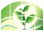 Agroteplica (Kamiercyjnaja vulica No:5В), seracılık  Brest'ten