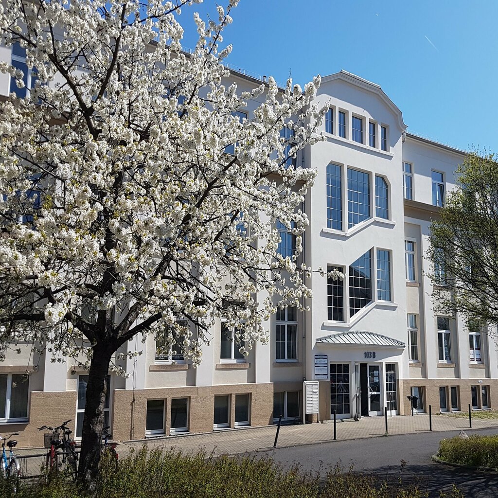 i̇ş ve işçi bulma kurumları Go4aupair Löchel & Mäder GbR, Dresden, foto