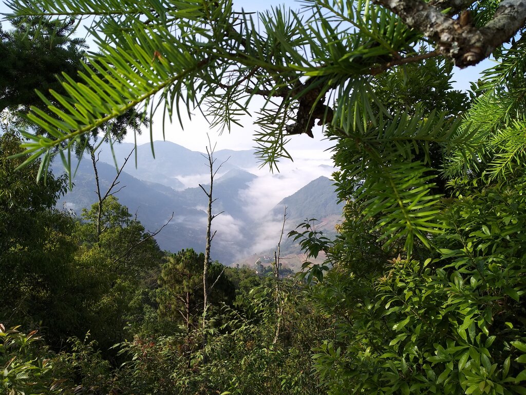 Çay mağazaları China Tea Travel, Saint‑Petersburg, foto