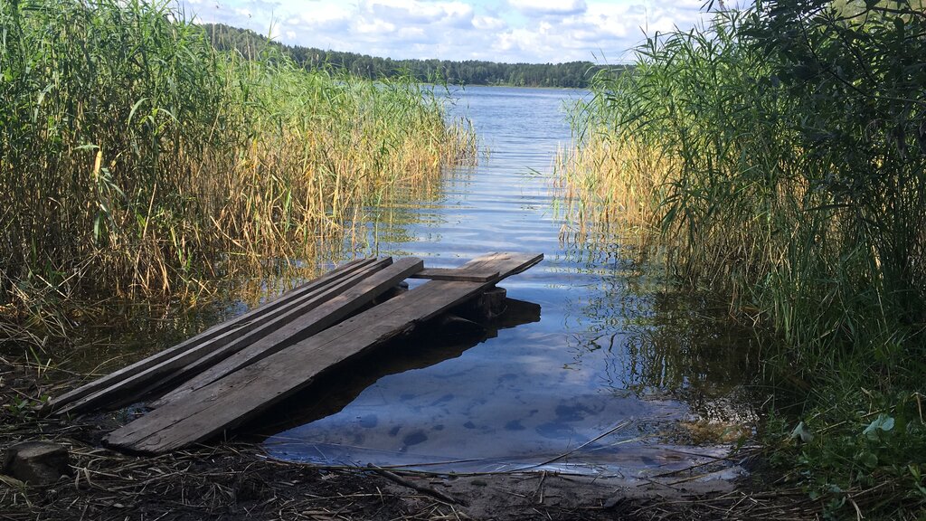 Plaj Пляж, Smolenskaya oblastı, foto