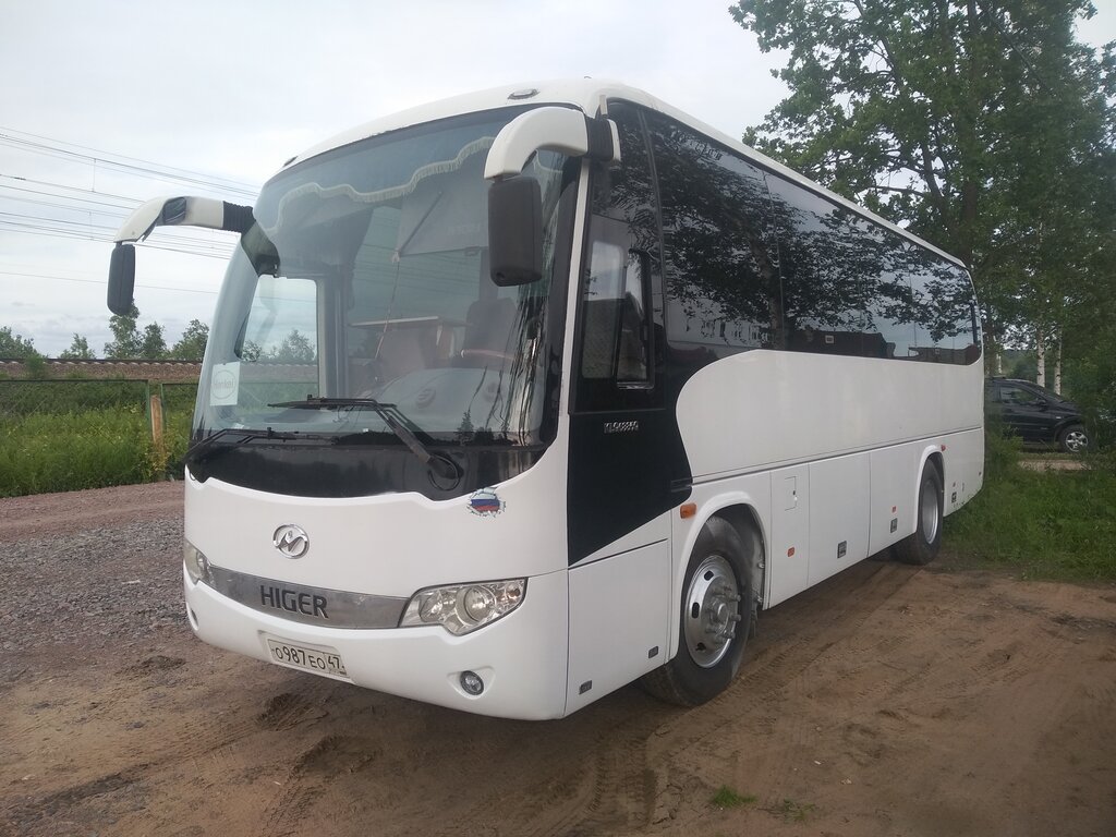 Otobüs taşımacılığı Avtobusnyye perevozki, Tosno, foto