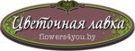 Flower delivery Flowers4you.by (Miastrawskaja Street No:24), çiçekçiler  Minsk'ten