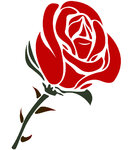 FlowersToYou (Izmaylovskoye Highway No:69Д), çiçekçiler  Moskova'dan