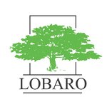 Lobaro (Yuzhnoye Highway No:30), mobilya aksesuar ve parçaları  Tolyatti'den (Togliatti'den)