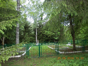 Воинское захоронение д. Дубровы (Novgorod Region, Parphinskiy District, Fedorkovskoye selskoye poseleniye, derevnya Dubrovy), anıt, heykel  Novgorodskaya oblastından