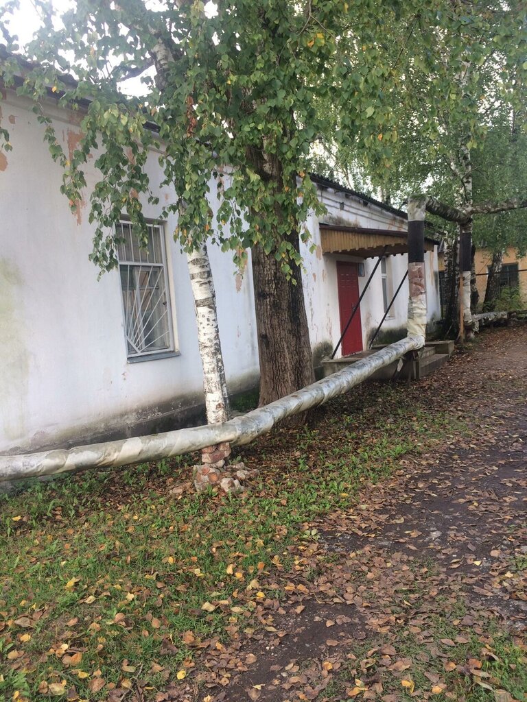 Kurs Detsko-Yunoshesky klub Fizicheskoy Podgotovki Mou, Soltsy, foto
