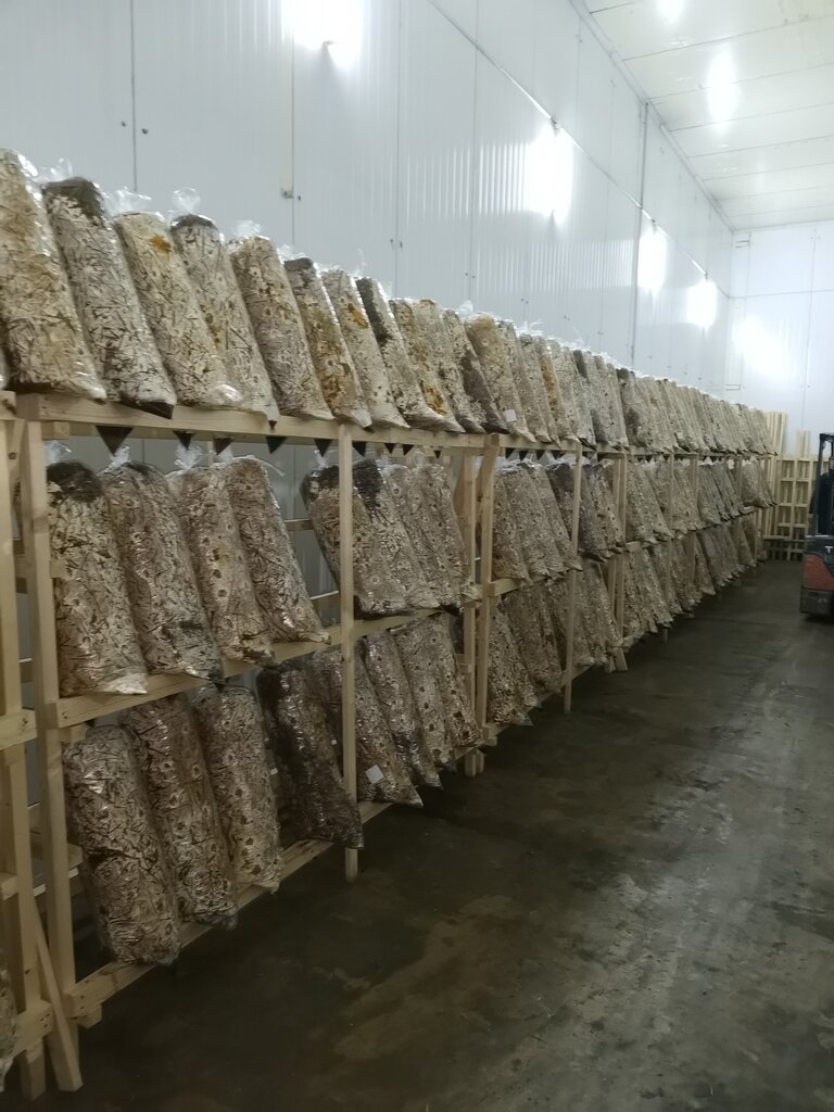 Sanayi kuruluşu Фруктохранилище ОАО Александрийское, Mogiliovskaya oblastı, foto