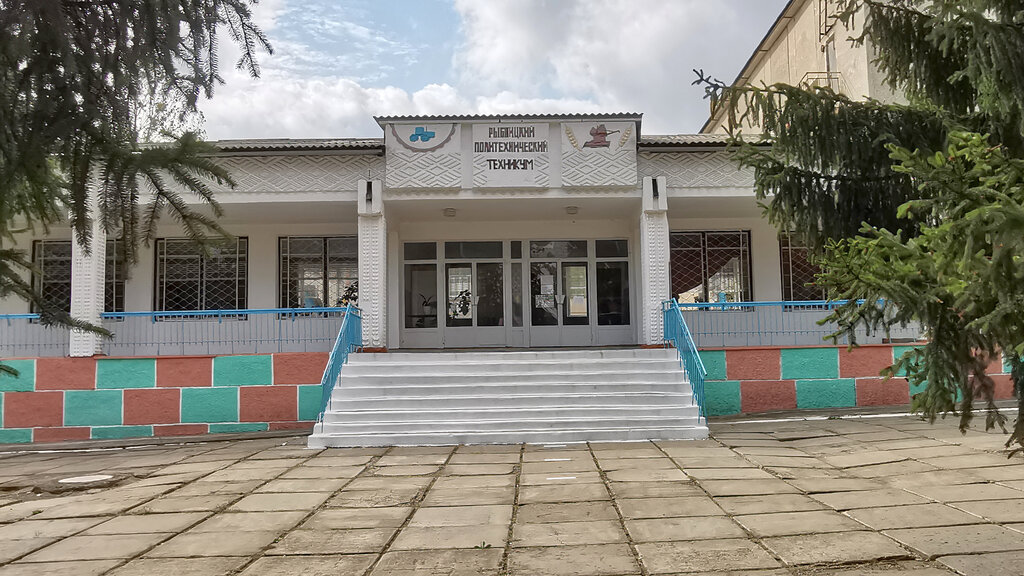 Meslek yüksekokulu ГОУ СПО Рыбницкий политехнический техникум, Ribnitsa, foto