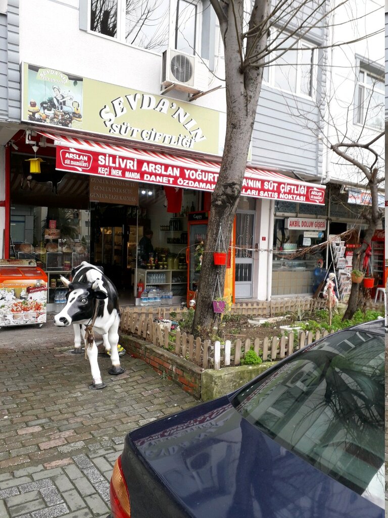 Süt ürünleri satış mağazaları Sevdanın Süt Çiftliği, İstanbul, foto