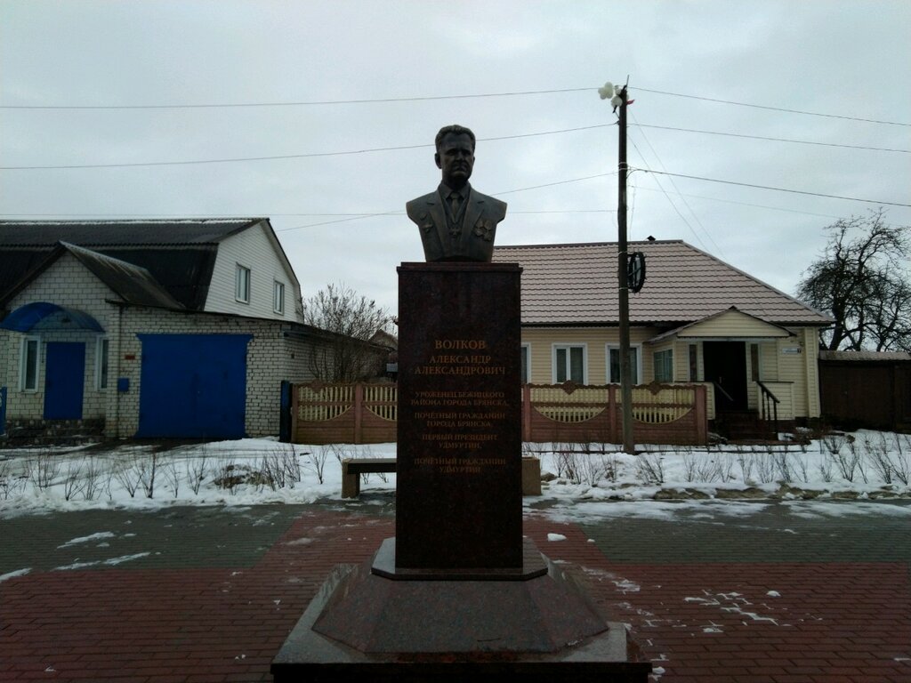 Anıt, heykel А.А. Волков, Briansk, foto
