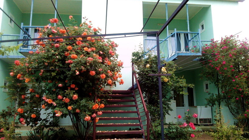 Resort oteller, tesisler Гостевой дом у Джеммы, Kırım Cumhuriyeti, foto
