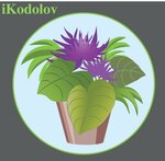 Кодолов Садовод (No:1/5, selo Borsheva), fidan yetiştiriciliği  Moskova ve Moskovskaya oblastından