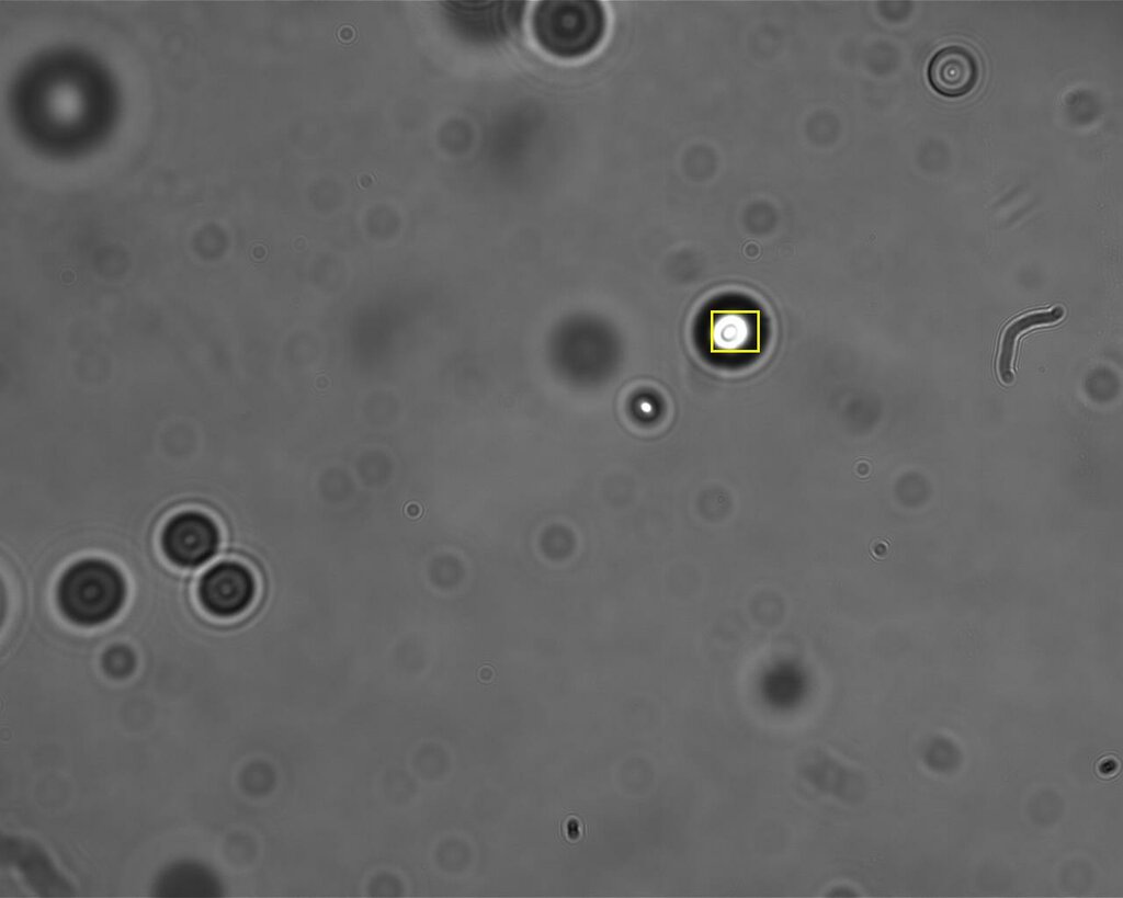 Havaalanları E. T. Joshua, Dünya, foto