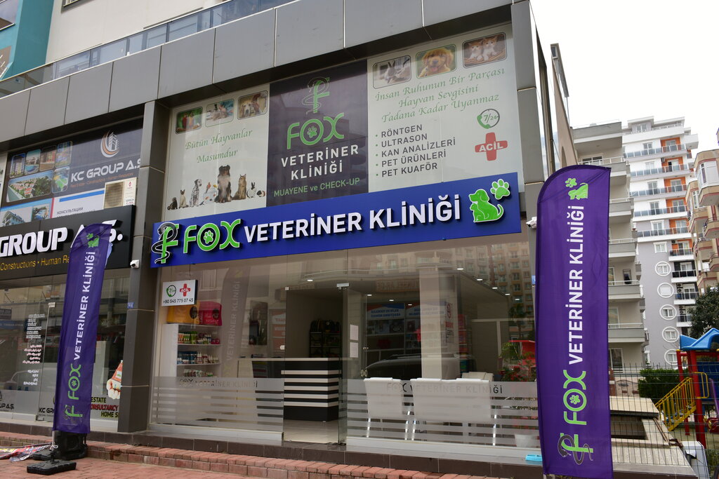 Veteriner klinikleri Fox Veteriner Kliniği, Alanya, foto