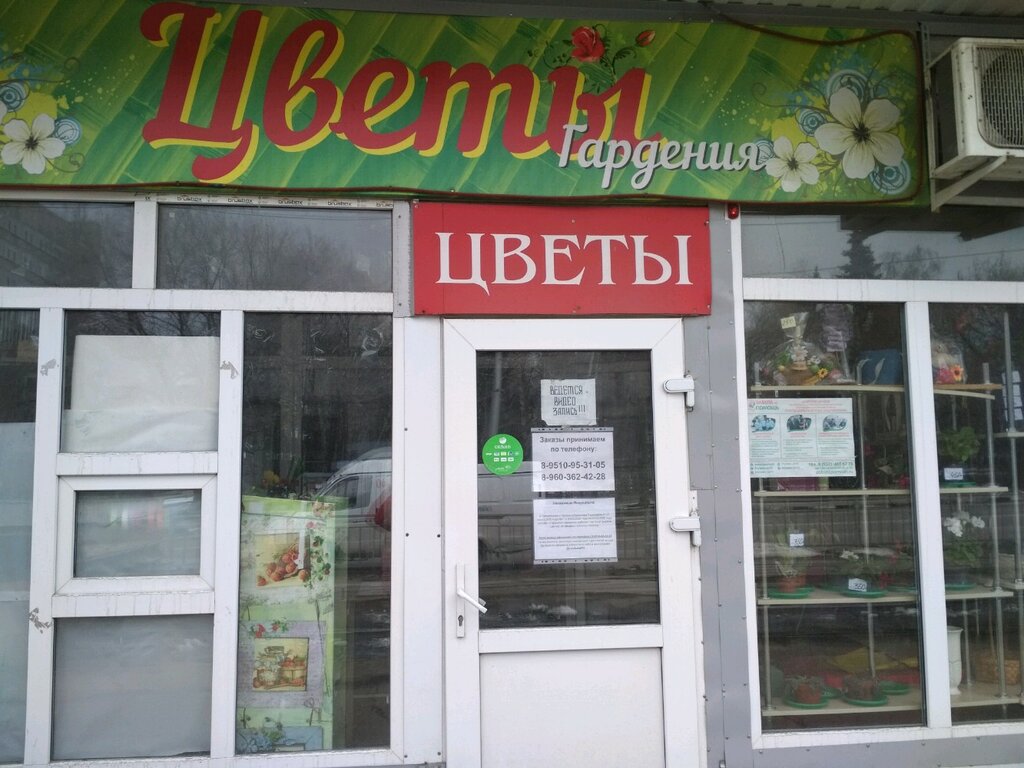 Çiçekçiler Gardenia, Ulyanovsk, foto