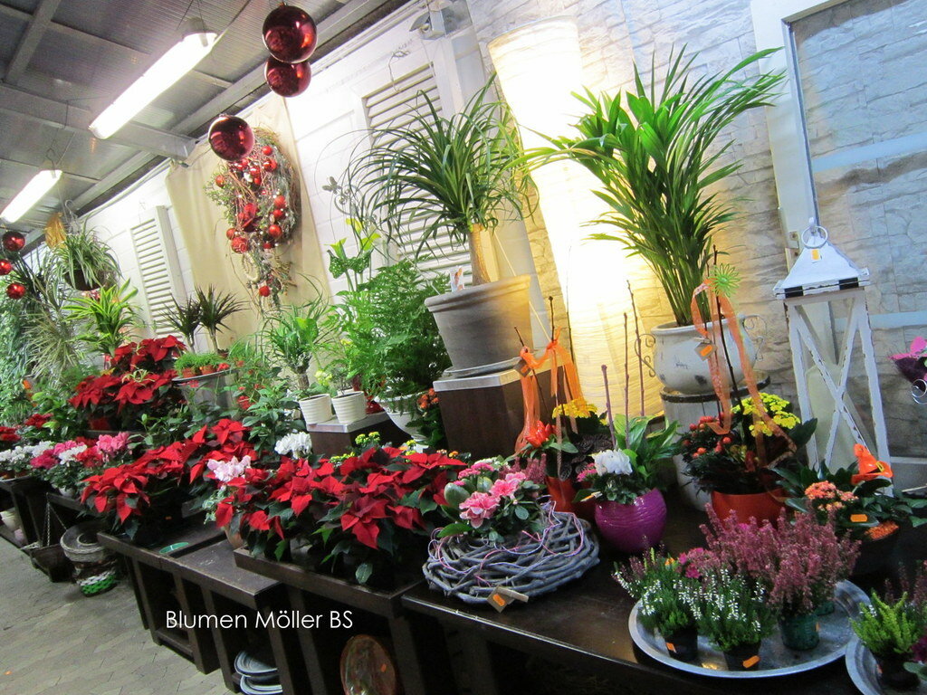 Çiçek teslimatı Blumen Möller, Brunswick, foto