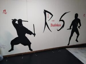 Fitness kulüpleri Budokan Real Combat, , foto