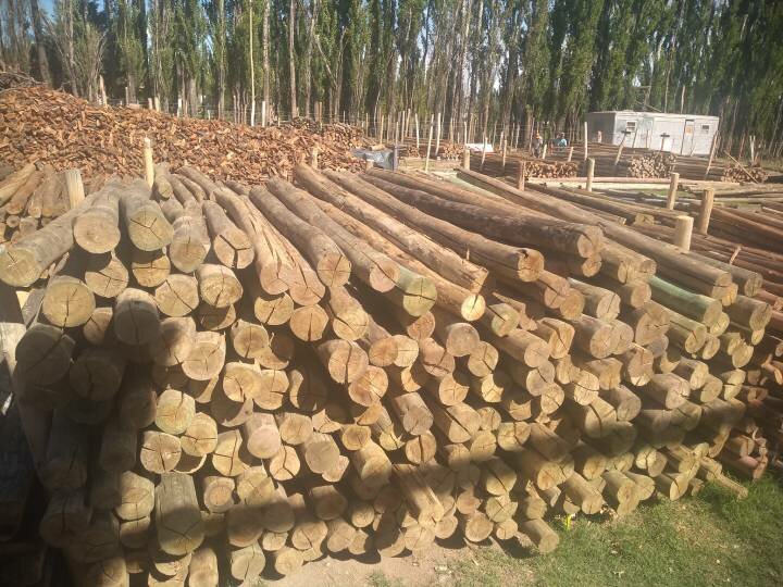 i̇nşaat malzemeleri toptan Postes Neuquen, , foto
