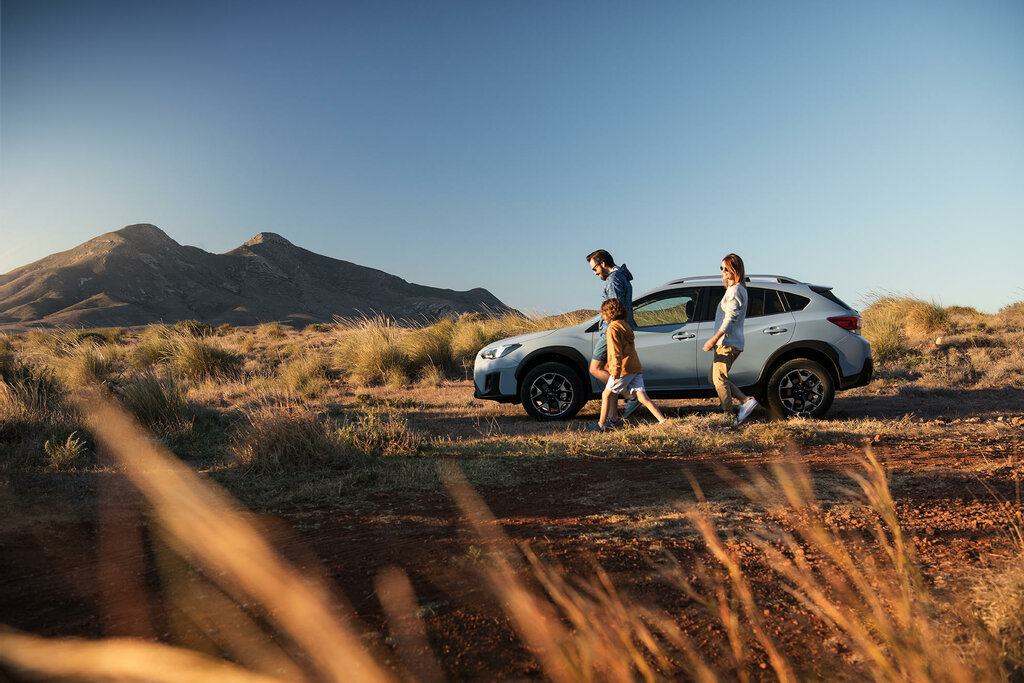 i̇kinci el araç Subaru Automoviles Nieto, Marbella, foto