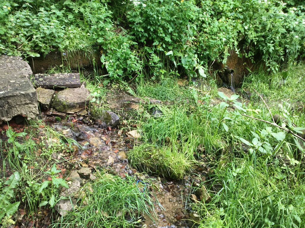 Pınar, çay Spring, stream, Aleksin, foto