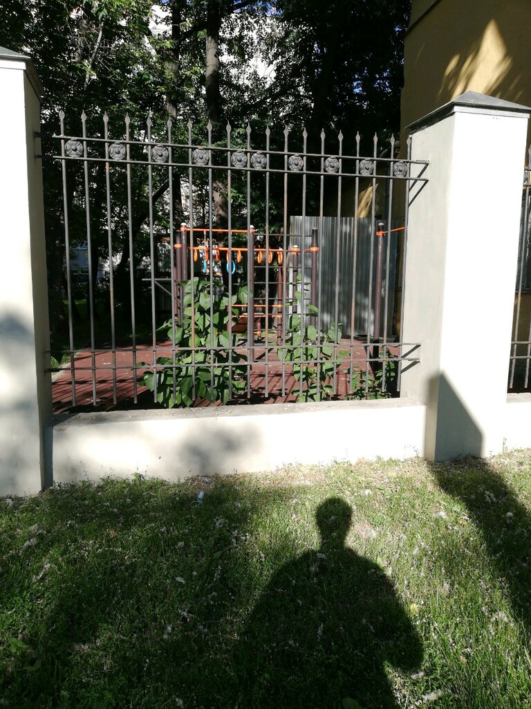 Spor alanı Спортплощадка, Moskova, foto