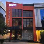 Dignus Clinic (Olmachi berk koʻchasi No:21), tıp merkezleri ve klinikler  Taşkent'ten