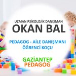 Gaziantep Pedagog (Gaziantep, Şehitkamil, Mücahitler Mah., 52092 Sok., 2C), aile danışmanlığı  Gaziantep'ten