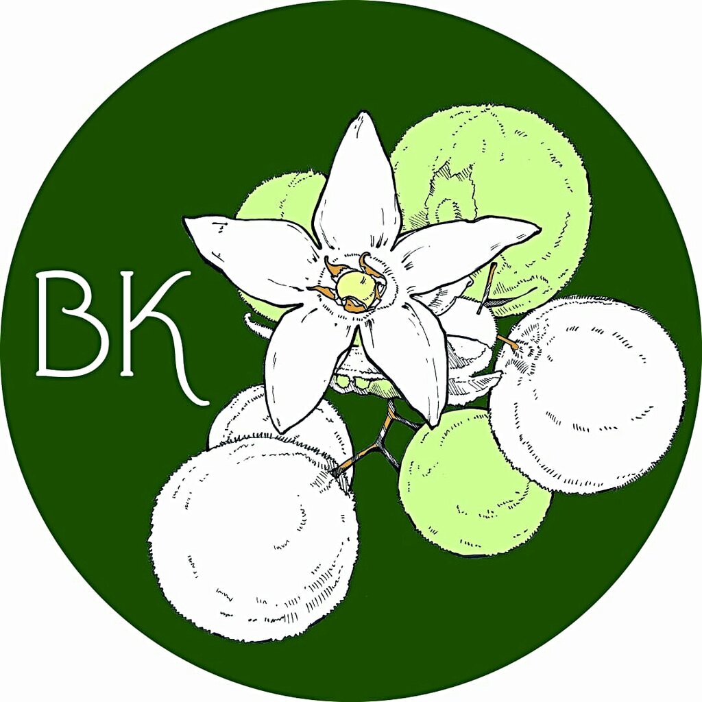 Pasaport ve vize işlemleri Визит Курорт, Krasnoyarski krayı, foto