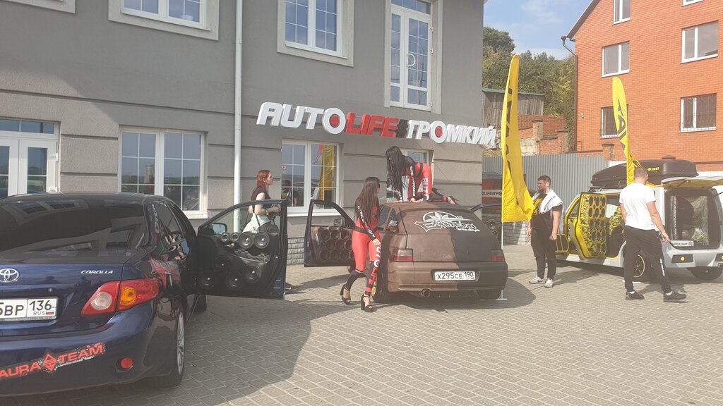 Oto ses sistemleri Autolife Loud, Voronej, foto
