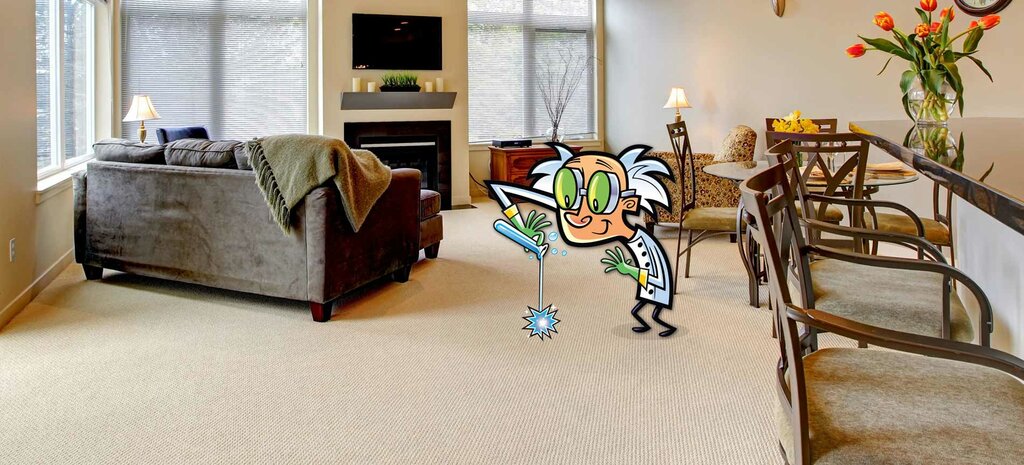 Halı yıkamacılar The Carpet Chemist, Kentucky, foto