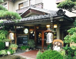 Minamoto Ryokan (Yamanashi Prefecture, Fuefuki), otel