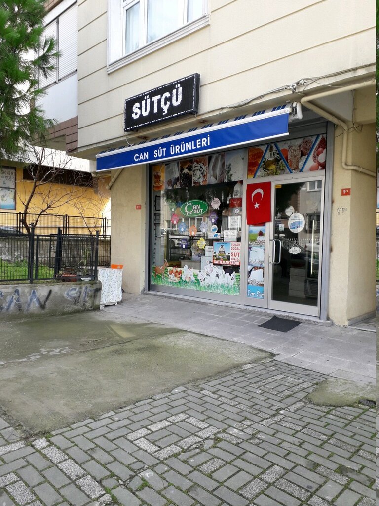 Süt ürünleri satış mağazaları Can Süt, İstanbul, foto