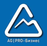 AG PRO-Business (Petrovsko-Razumovsky Drive No:29с2), firma açılışı ve tasfiye işlemleri  Moskova'dan