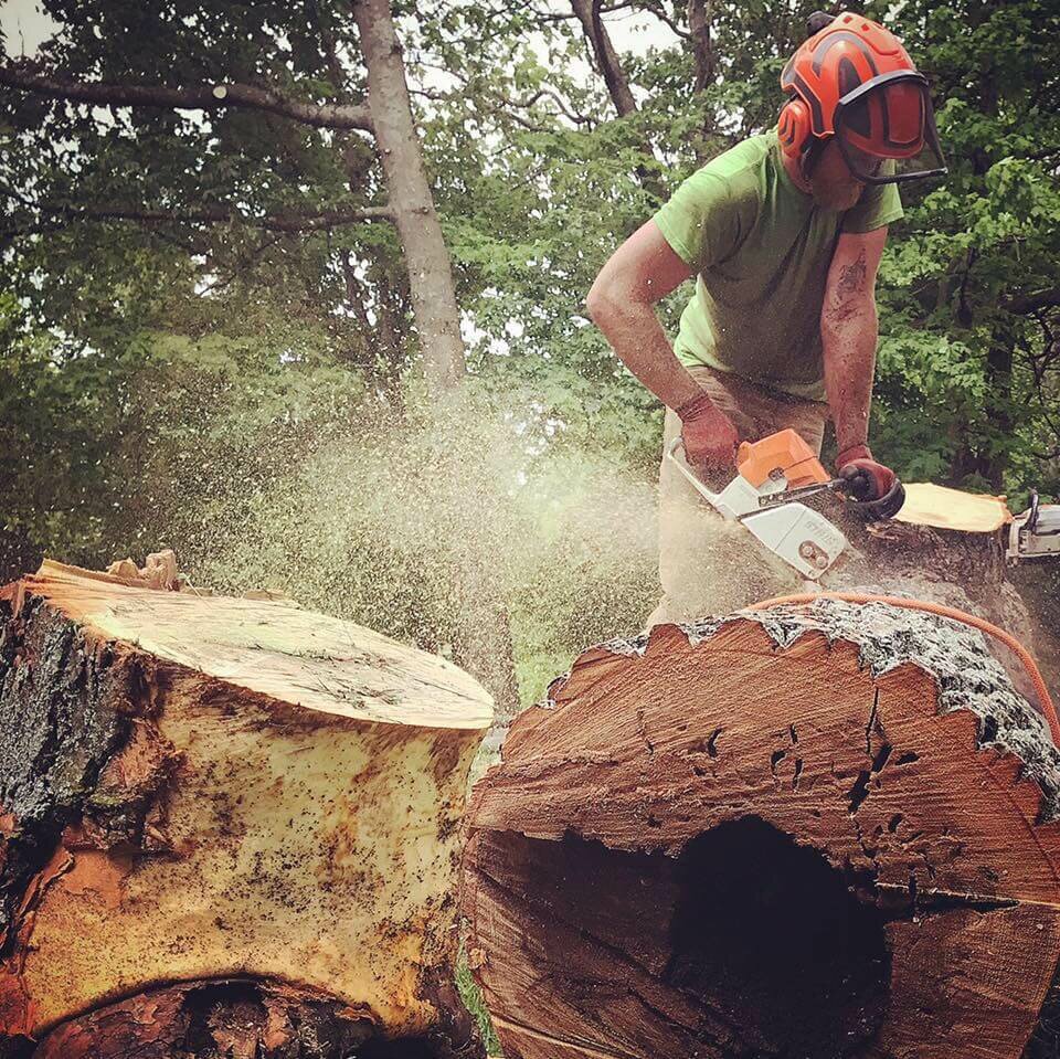 Bahçe ekipmanları ve teknolojileri Dailey Tree Care, Tennessee Eyaleti, foto