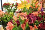 Blumen Schuster in Meidling - Christine Schuster (Kerschensteinergasse No:32, Wien, Vienna), çiçek teslimatı  Viyana'dan