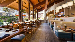 Spor barları Sevy's Bar + Kitchen, Kaliforniya Eyaleti, foto