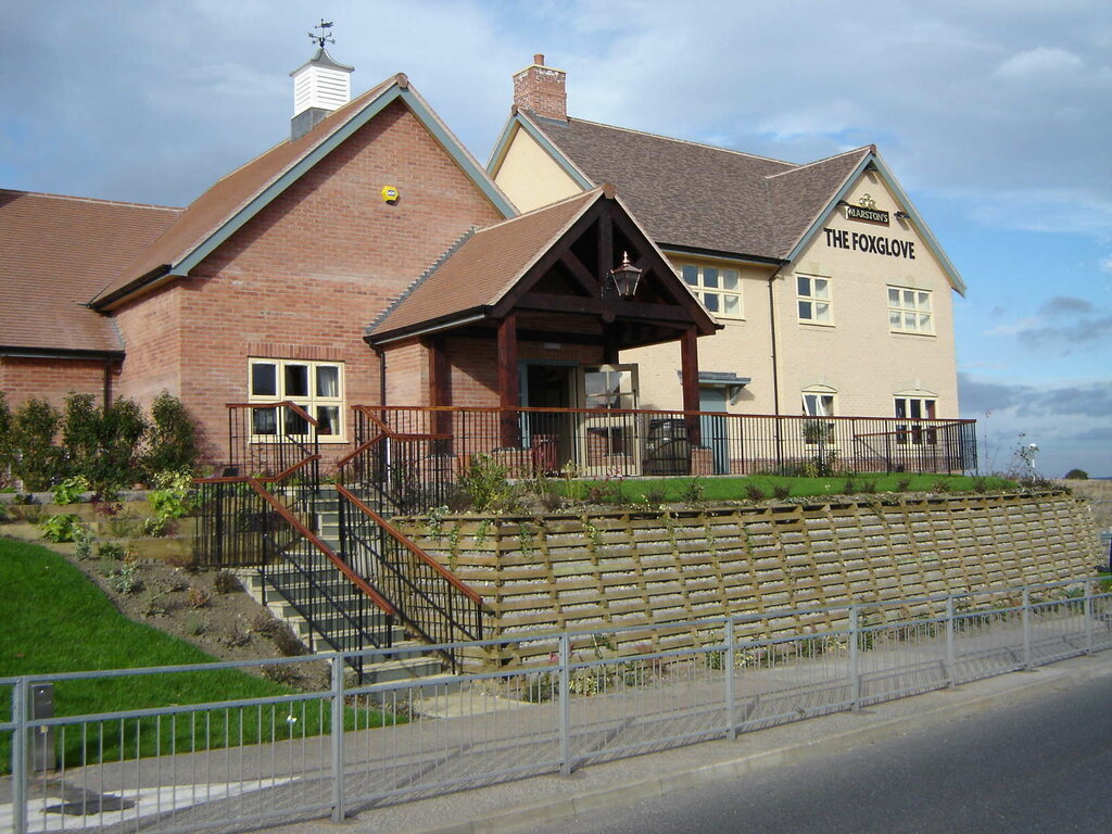 Bar Foxglove, İngiltere, foto