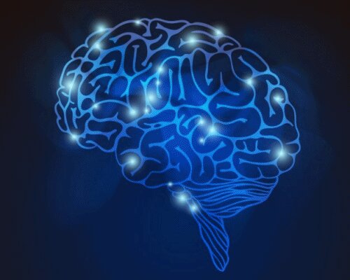 Özel muayenehaneler Electroencefalogramas Video Eeg Polisomnografías Neuromand Estudios Neurológicos, Buenos Aires, foto