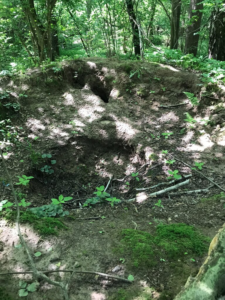 Turistik yerler The kurgans of the Vyatichi, Moskova ve Moskovskaya oblastı, foto