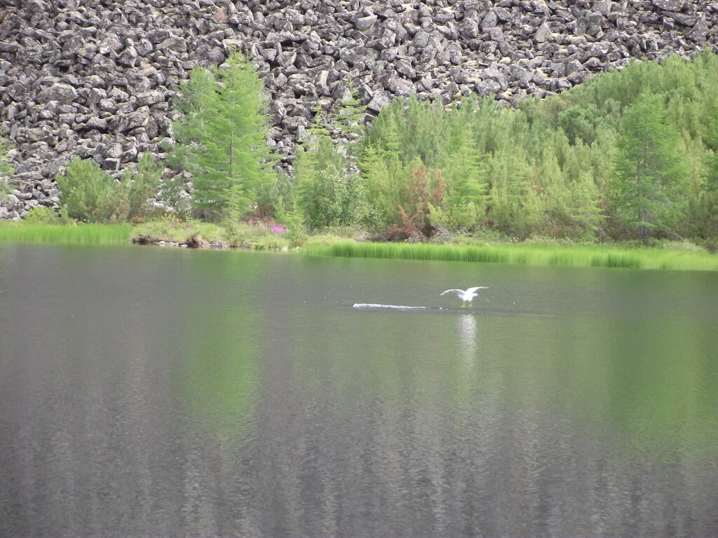 Termal otel Magadansky Oblastnoy Sanatory Talaya, Magadan Bölgesi, foto
