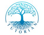 Tutorian (Rodionovskaya Street No:12к1), kurs  Moskova'dan