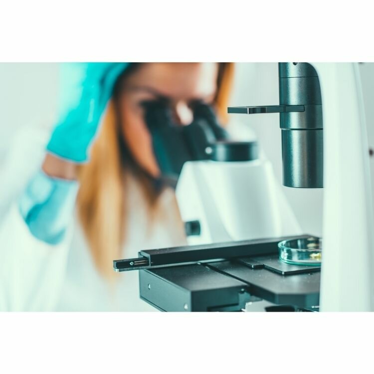 Tanı merkezleri Laboratorio Clínico Alvear, , foto