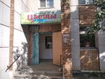 Tsvety (Sovetskaya ulitsa No:7), çiçekçiler  Samara'dan
